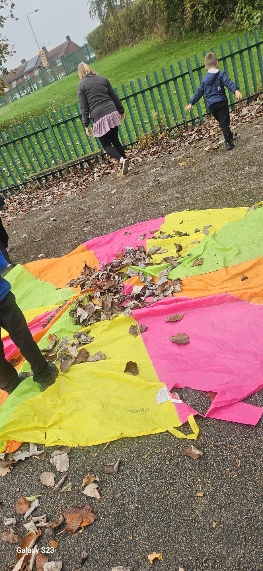 Harvest in the LEAF – Roughwood Primary School